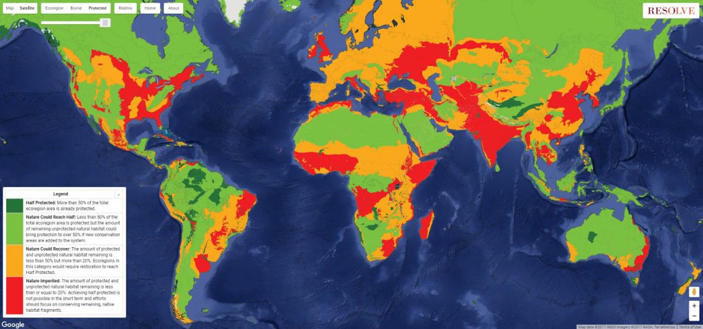 Ecoregions and Biomes of the World - Vivid Maps