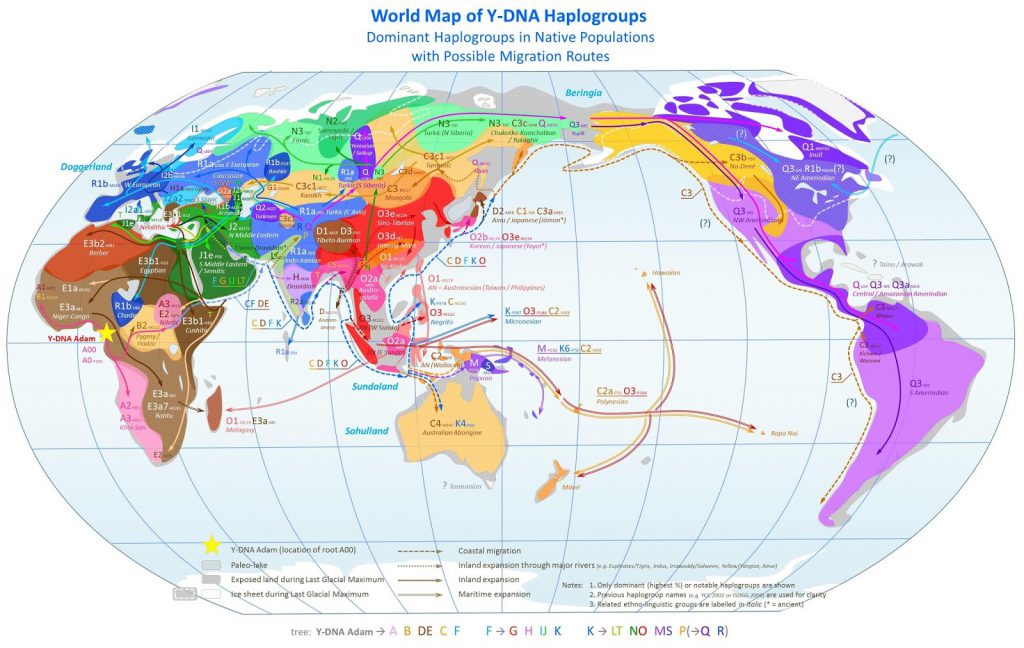 World map of Y-DNA Haplogroups - Vivid Maps