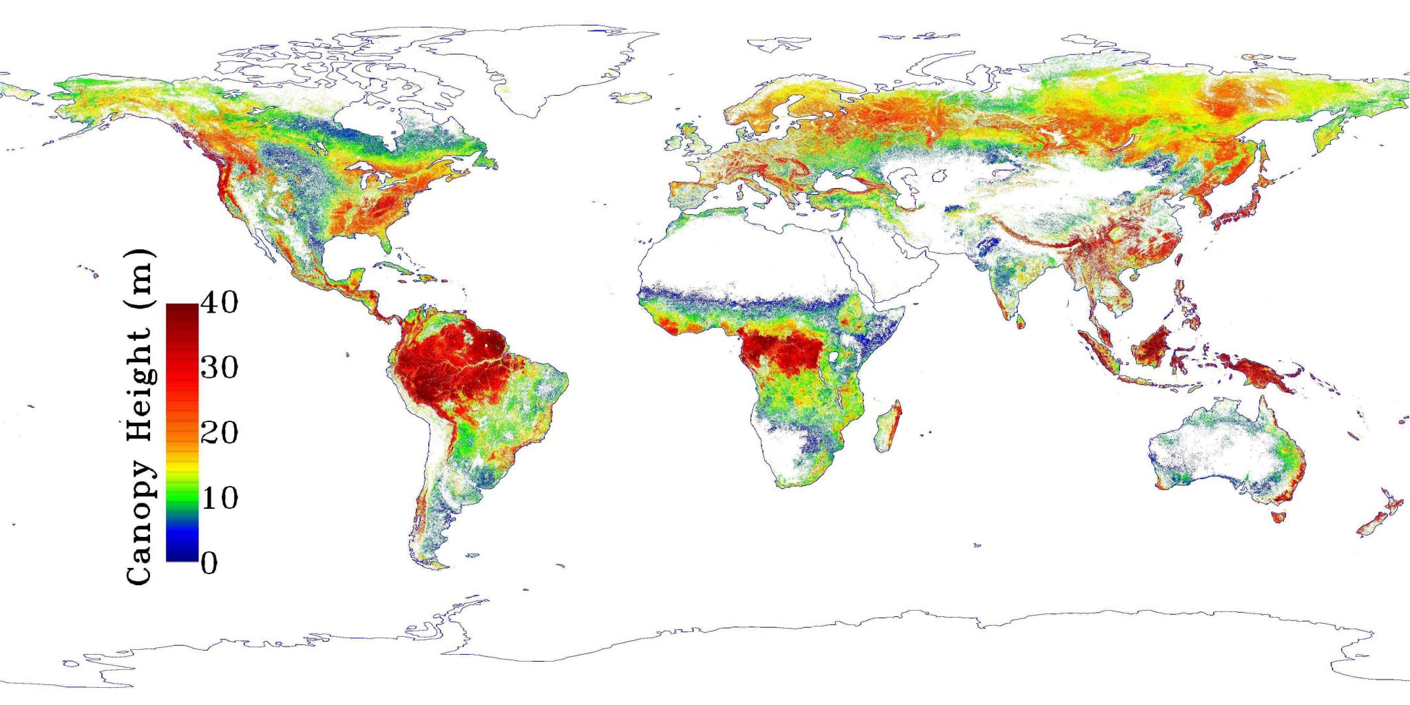 Tree Height Maps