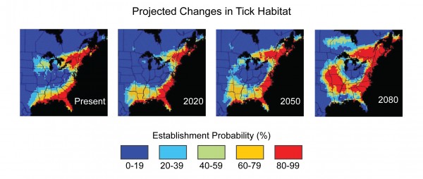 Geographic distribution of ticks and disease cases in the U.S. - Vivid Maps